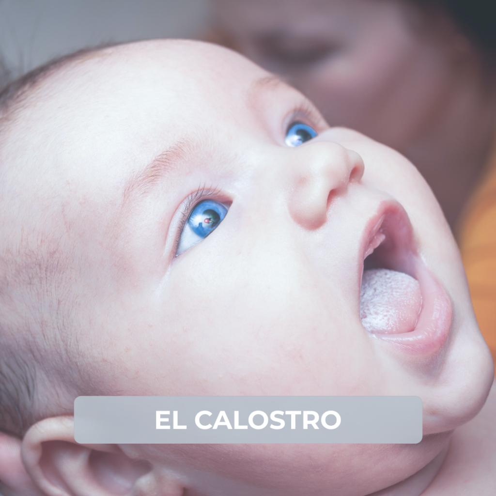 Calostro - Baby Coach